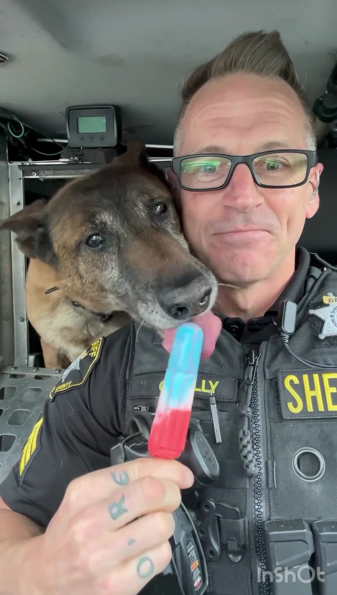 Dogs with Jobs: Deputy (Patrol) Dog Radar – Wilderdog