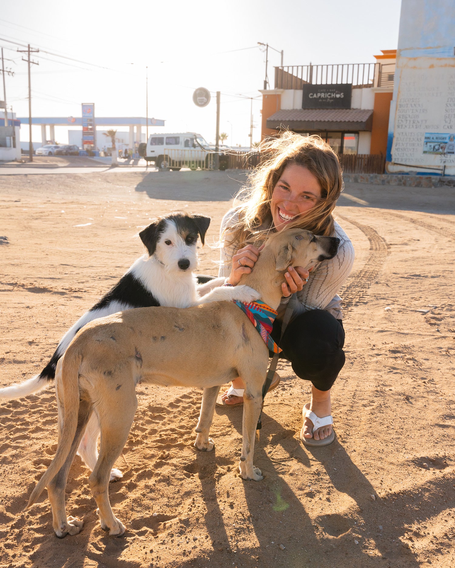 Expedition Ola: Two Humans, a Truck Camper, and a Mission to Save Stre ...