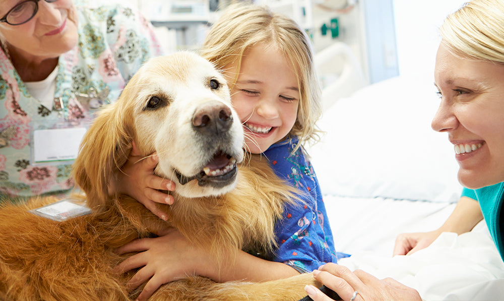 Helping Paws: Therapy + Emotional Support Dogs – Wilderdog