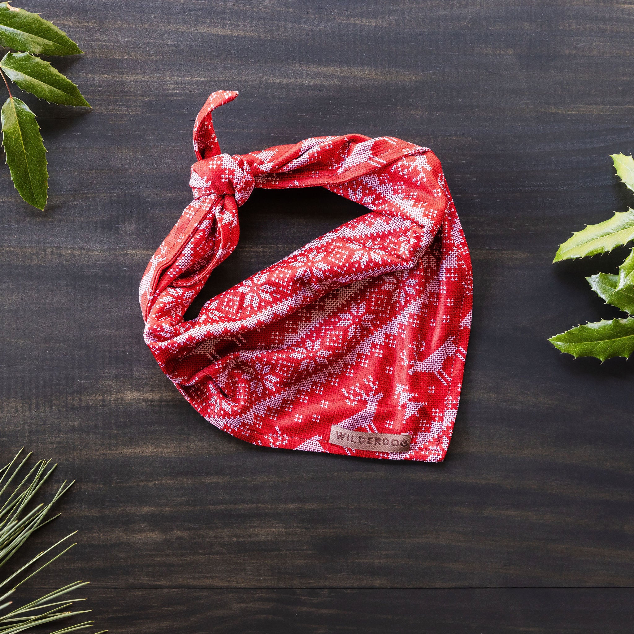 Ugly Sweater Bandana – Wilderdog