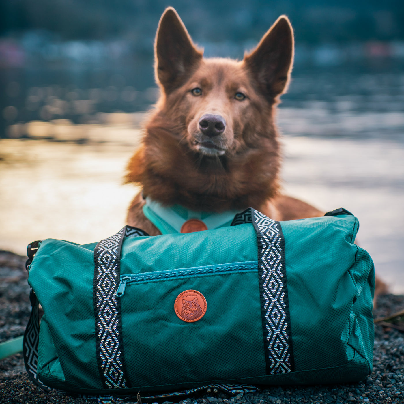 Dog Duffel – Wilderdog