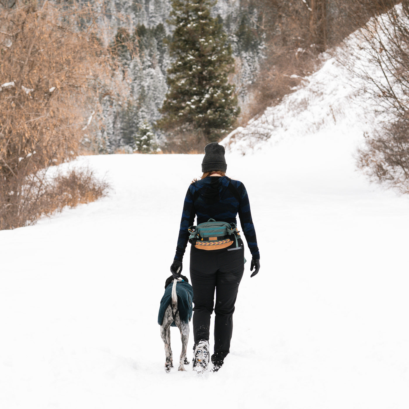 Mega Hip Pack – Wilderdog