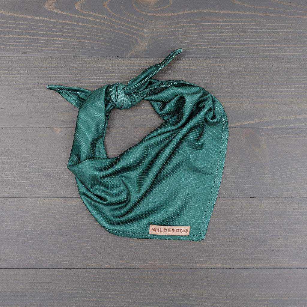 Evergreen Topo Bandana – Wilderdog