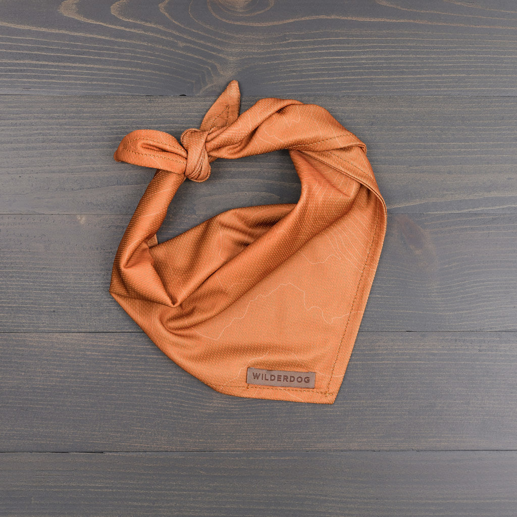 Orange Topo Bandana – Wilderdog