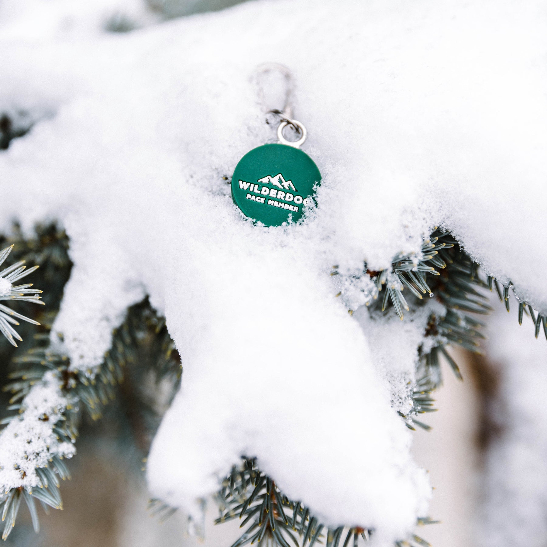 Wilderdog Silicone Tag