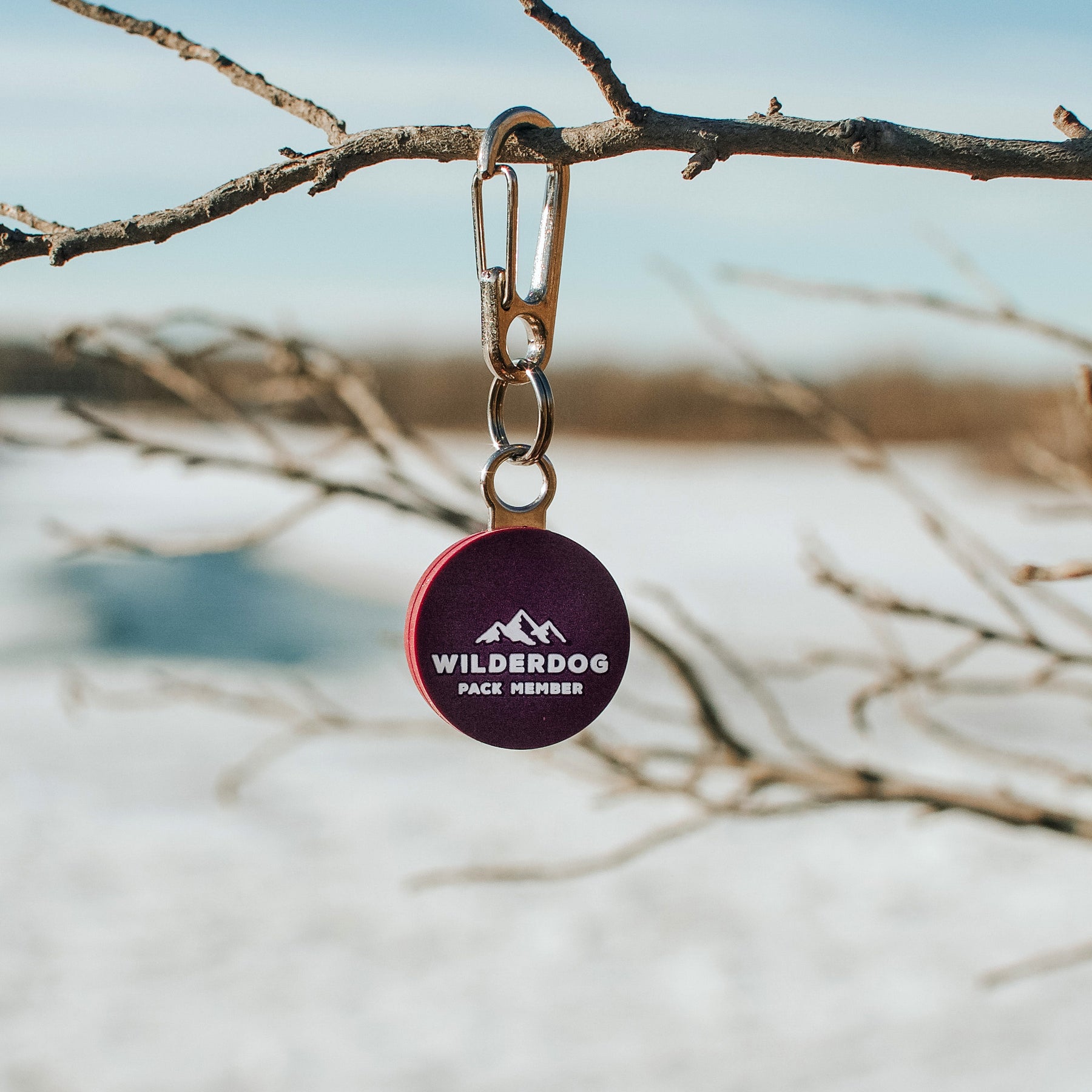 Wilderdog Silicone Tag